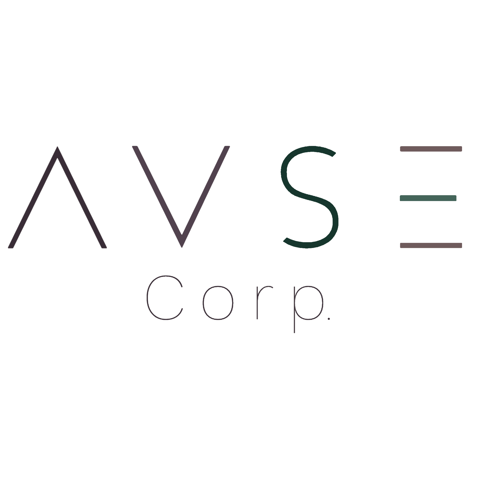 AVSE Corporation Vietnam