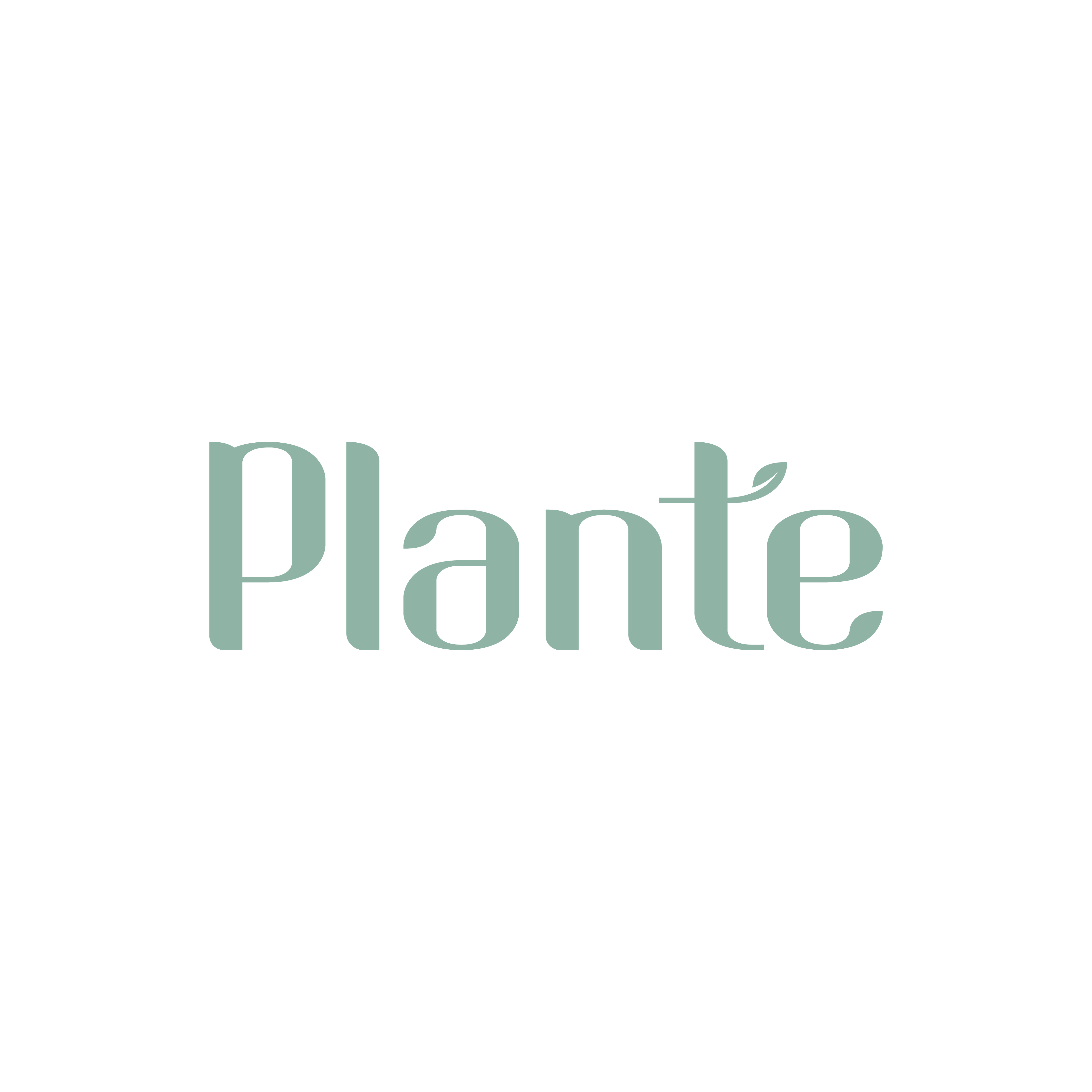 Plante